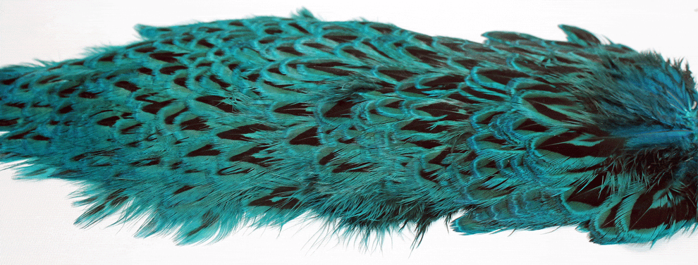 Chevron Hackle - Hen Pheasant Rump Patch – Jerry French Fly Fishing