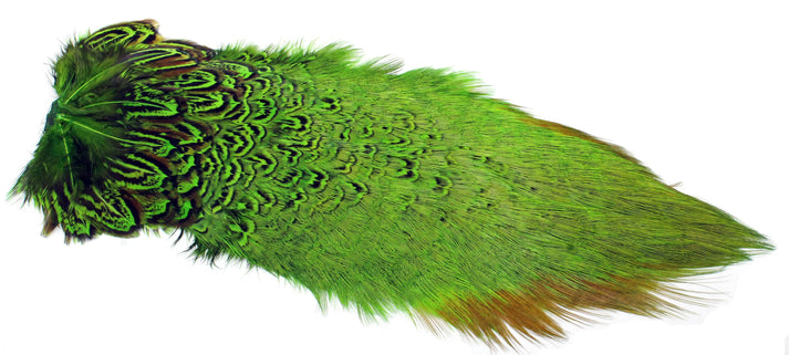 Chevron Hackle - Pheasant Rump Patch – Jerry French Fly Fishing