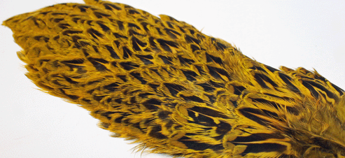 Chevron Hackle - Hen Pheasant Rump Patch – Jerry French Fly Fishing